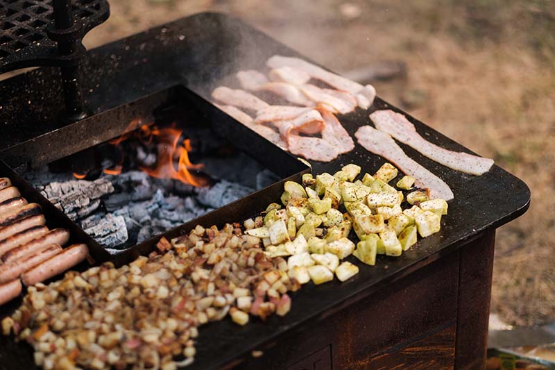 Teppan 29 Food Blocker – CSHE